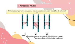 PPT BIOLOGI KELAS XII Materi Mutasi pada Makhluk hidup.pdf