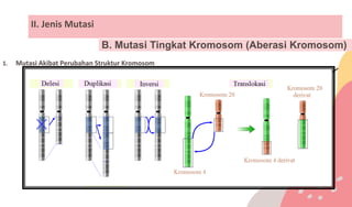 PPT BIOLOGI KELAS XII Materi Mutasi pada Makhluk hidup.pdf