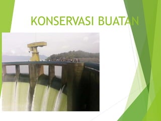 Ppt biologi kelompok 4 (konservasi) | PPTX