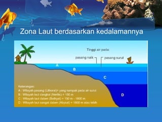 PPT BIOLOGI LAUT.UNIVERSITAS MUARA BUNGO | PPTX