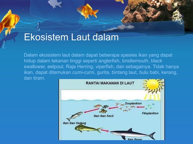 PPT BIOLOGI LAUT.UNIVERSITAS MUARA BUNGO | PPT