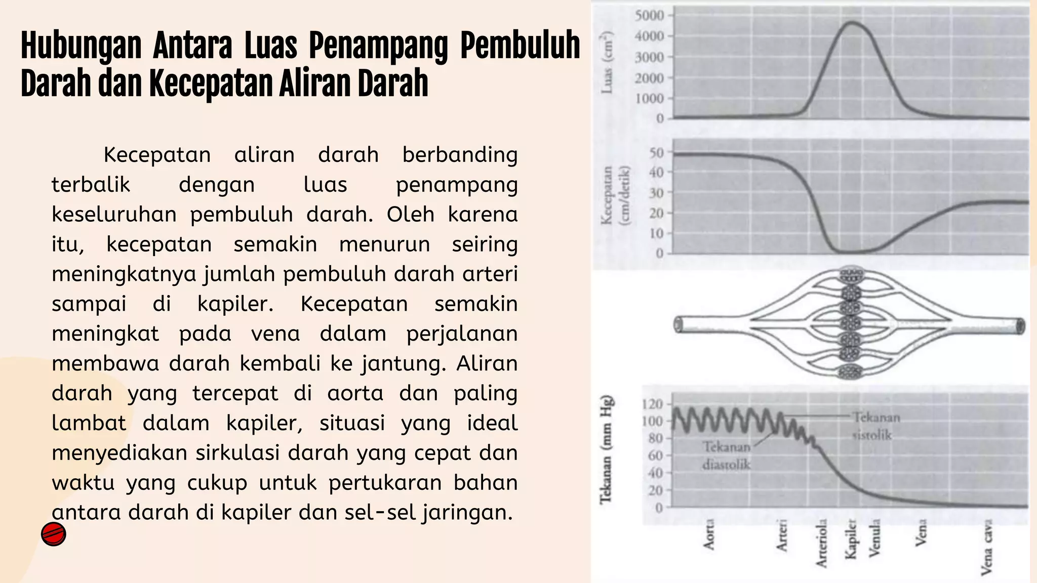 PPT Biologi Manusia.pptx