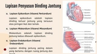 PPT Biologi Manusia.pptx