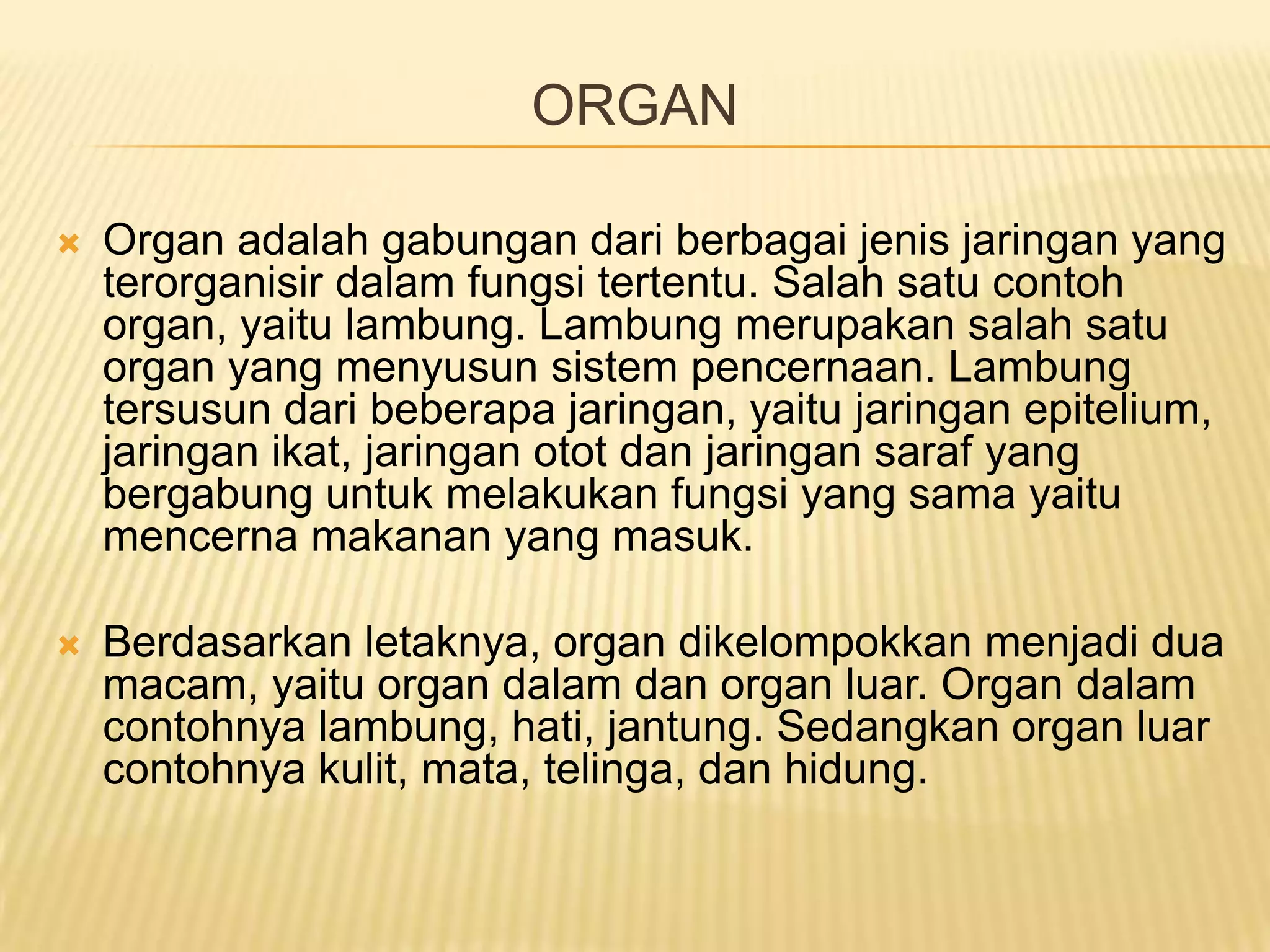 Power point biologi organ dan sistem organ kelas XI | PPTX