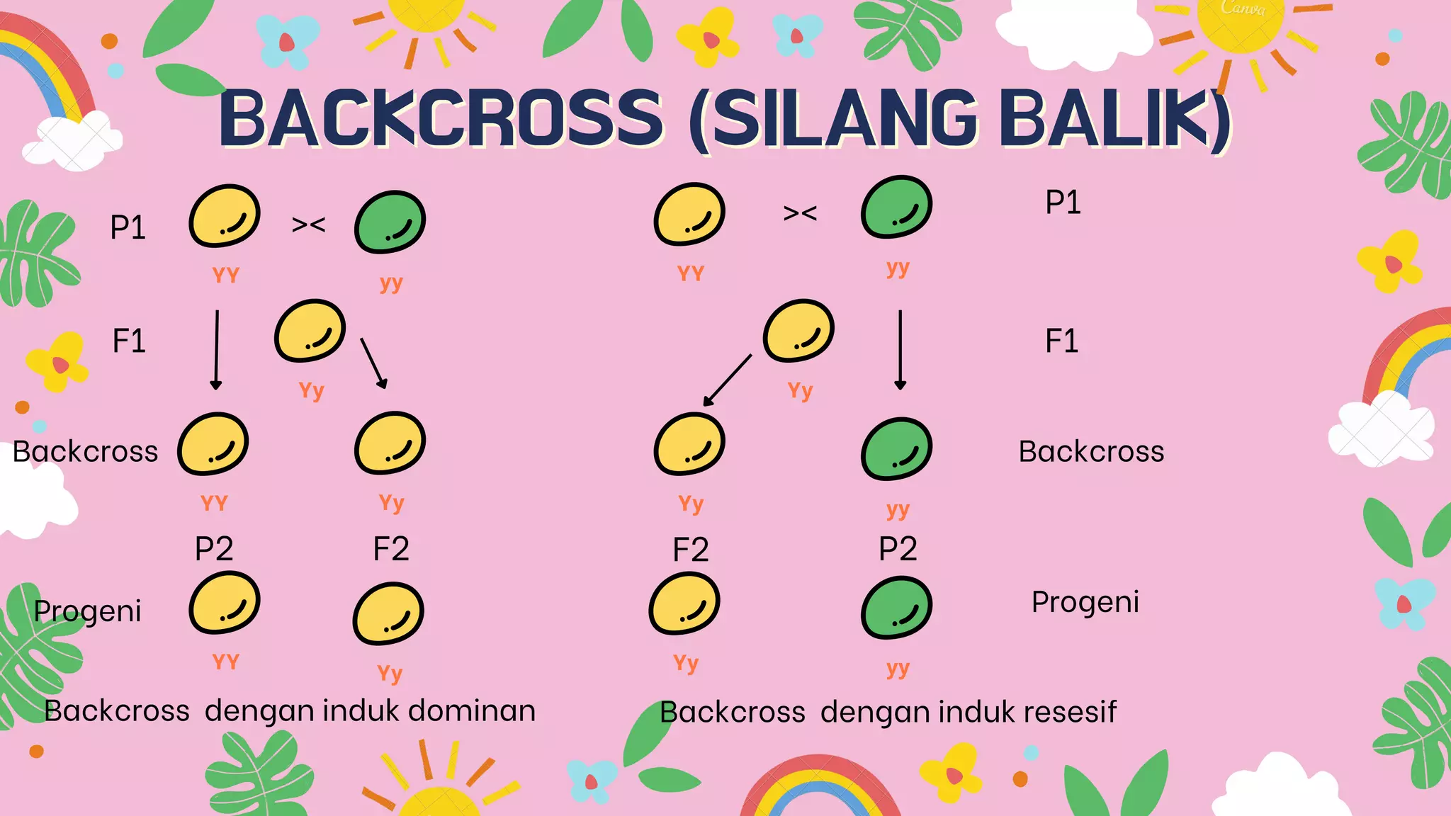 PPT BIOLOGI POLA-POLA HEREDITAS KELOMPOK 5.pdf