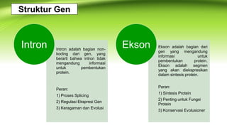 ppt biologi s2 materi tentang genetika.pptx