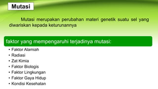 ppt biologi s2 materi tentang genetika.pptx
