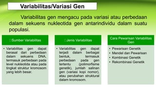 ppt biologi s2 materi tentang genetika.pptx