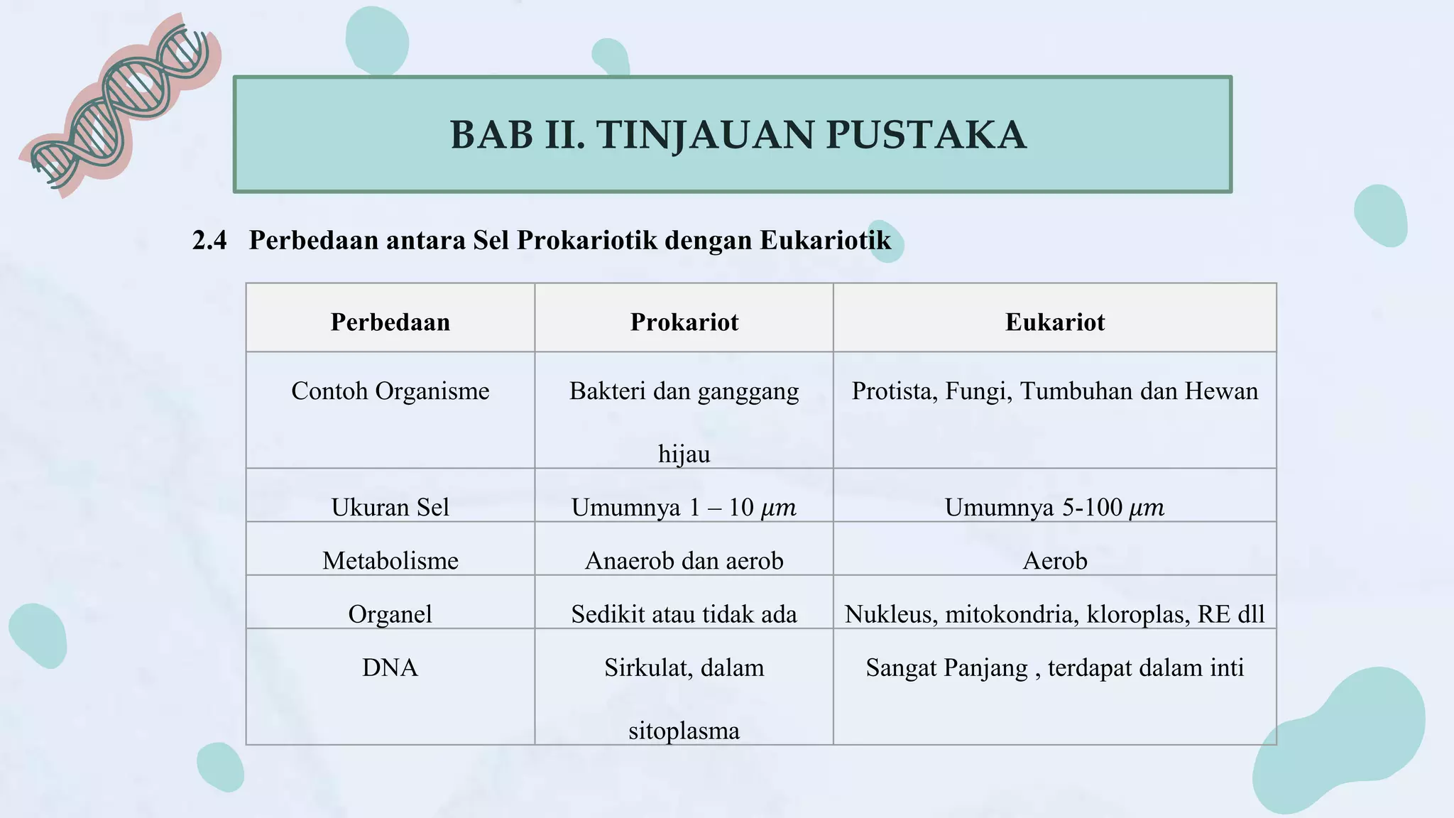 PPT Biologi Sel 1. Sel Prokariot dan Eukariot Kelas 1K Dosen Yayuk ...