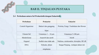 PPT Biologi Sel 1. Sel Prokariot dan Eukariot Kelas 1K Dosen Yayuk ...