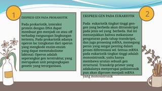 Ppt Biologi Sel dan cara kerja gen(2).pptx