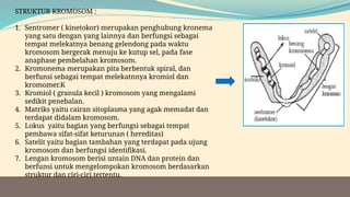 Ppt Biologi Sel dan cara kerja gen(2).pptx