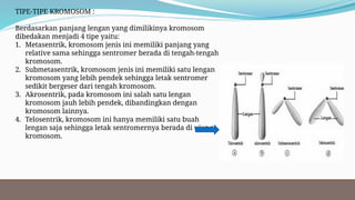 Ppt Biologi Sel dan cara kerja gen(2).pptx