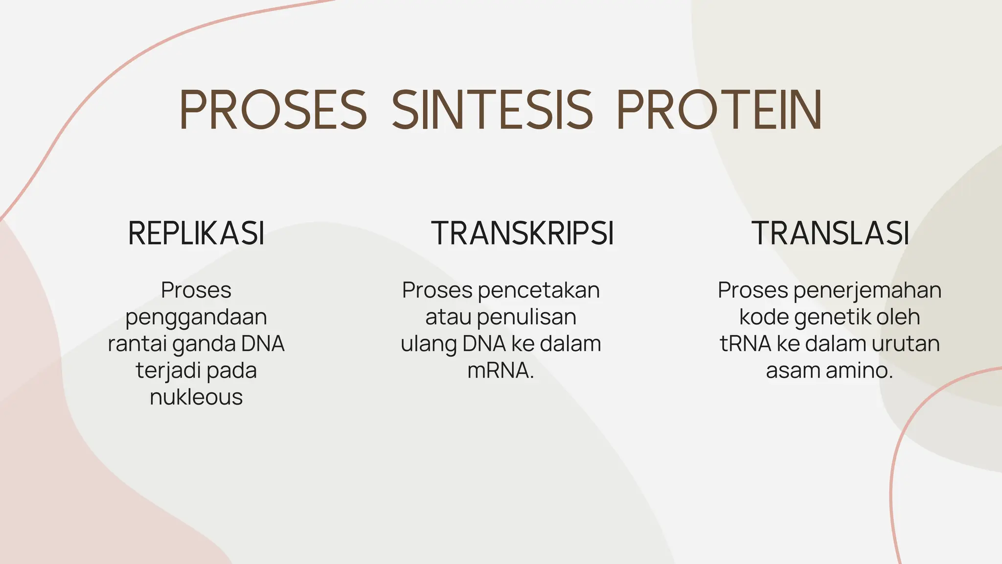 Makalah Biologi Sel Dan Molekuler: Struktur, Fungsi dan Sintesis ...