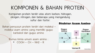 Makalah Biologi Sel Dan Molekuler: Struktur, Fungsi dan Sintesis ...