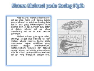 Ppt biologi sistem ekskresi baru | PPTX
