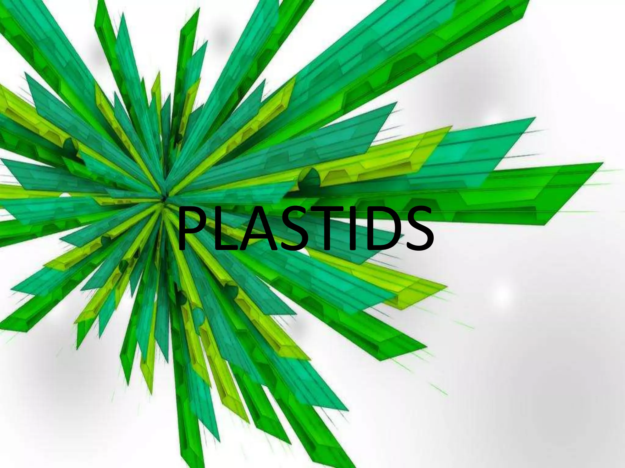 PPT ABOUT PLASTIDS | PPTX