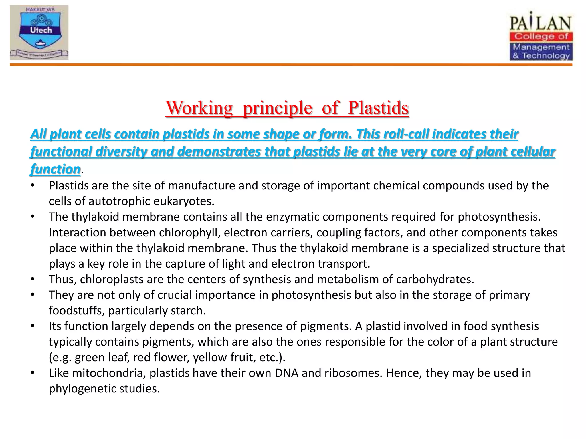 PPT ABOUT PLASTIDS | PPTX