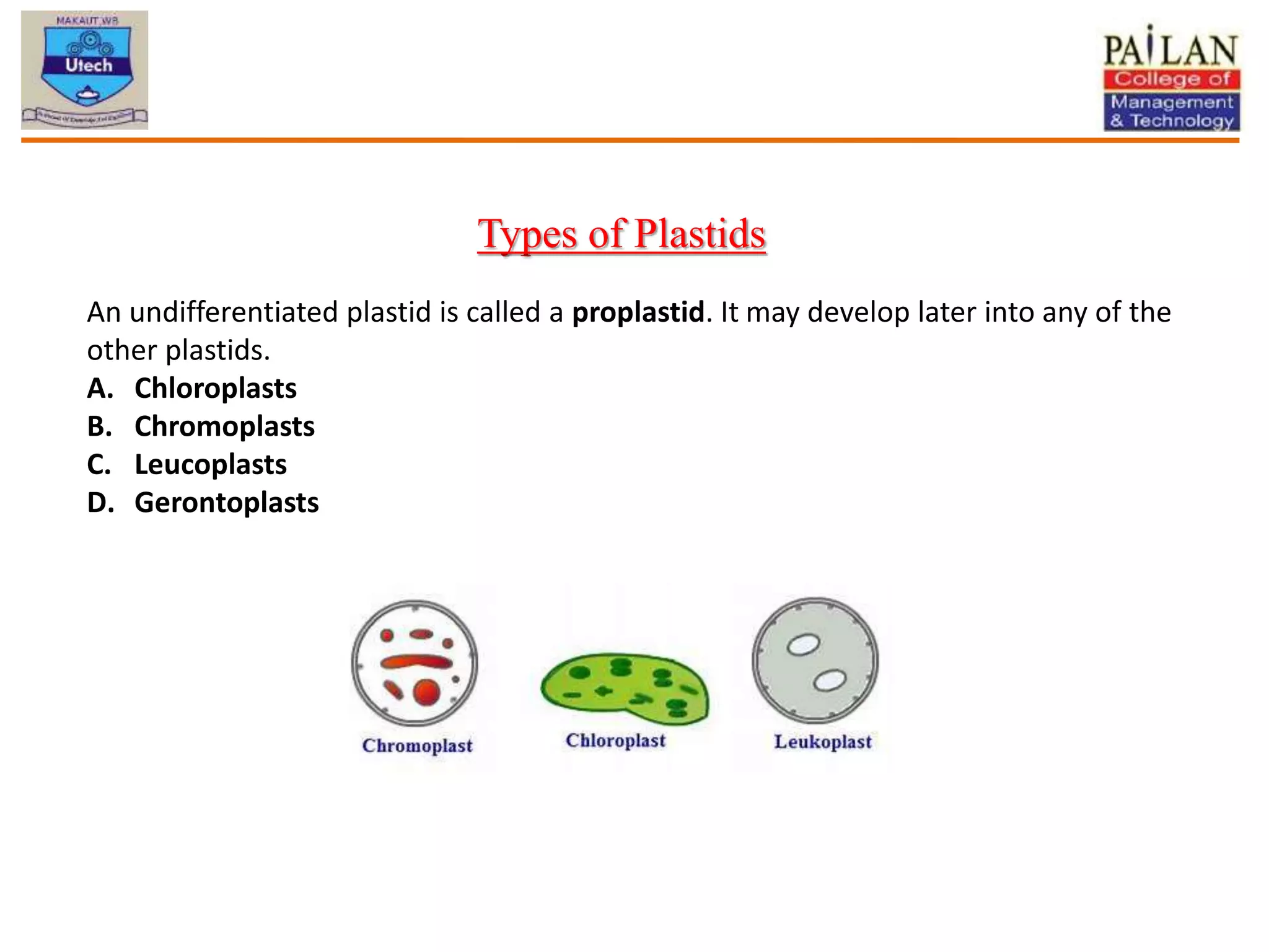 PPT ABOUT PLASTIDS | PPTX