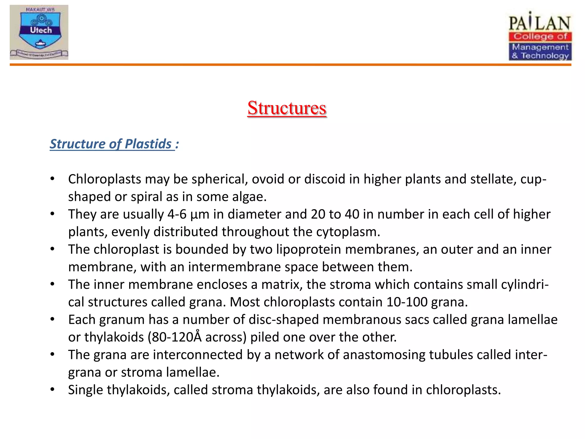 PPT ABOUT PLASTIDS | PPTX