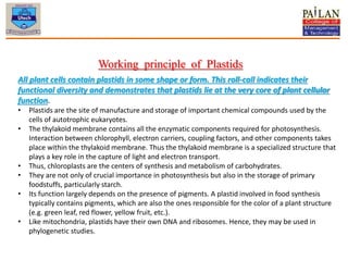 PPT ABOUT PLASTIDS | PPTX