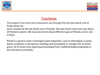 PPT ABOUT PLASTIDS | PPTX