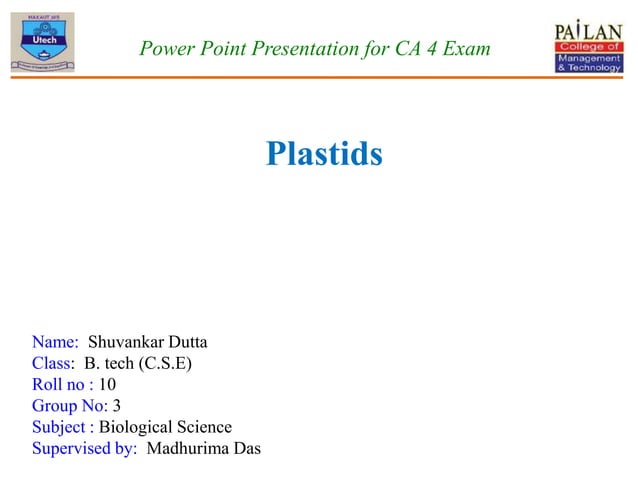 PPT ABOUT PLASTIDS | PPTX