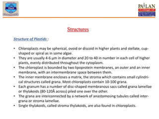 PPT ABOUT PLASTIDS | PPTX