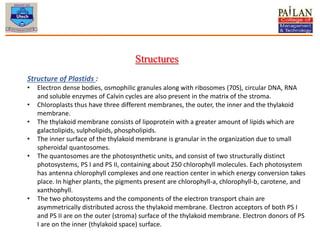 PPT ABOUT PLASTIDS | PPTX