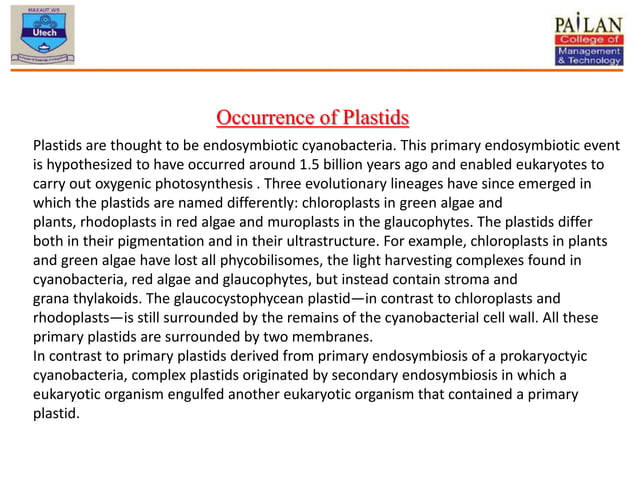 PPT ABOUT PLASTIDS | PPTX