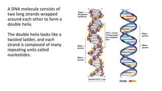 PPT Biology G9 quarter1 lesson1 DNA in a Chromosome.pptx