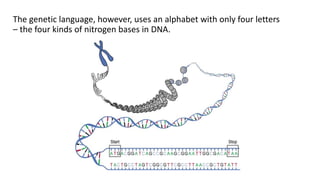 PPT Biology G9 quarter1 lesson1 DNA in a Chromosome.pptx