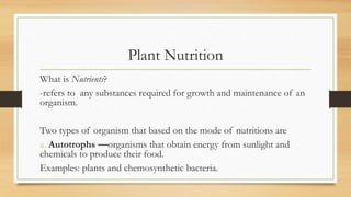 PPT BIology Nutrition .pptx