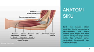 PPT BIOMEKANIKA LENGAN SIKU Active Daily Living.pdf