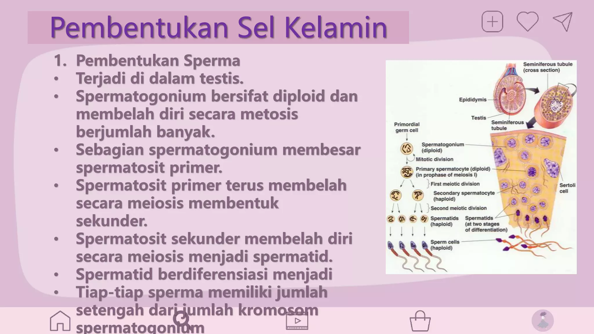 PPT BIO MIPA 4 KEL. 6.pptx