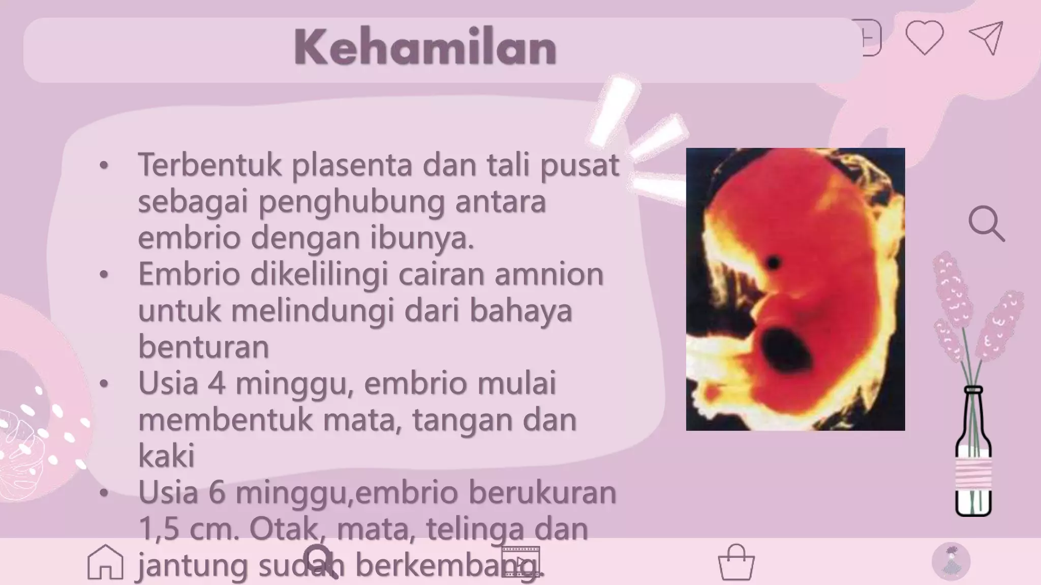 PPT BIO MIPA 4 KEL. 6.pptx