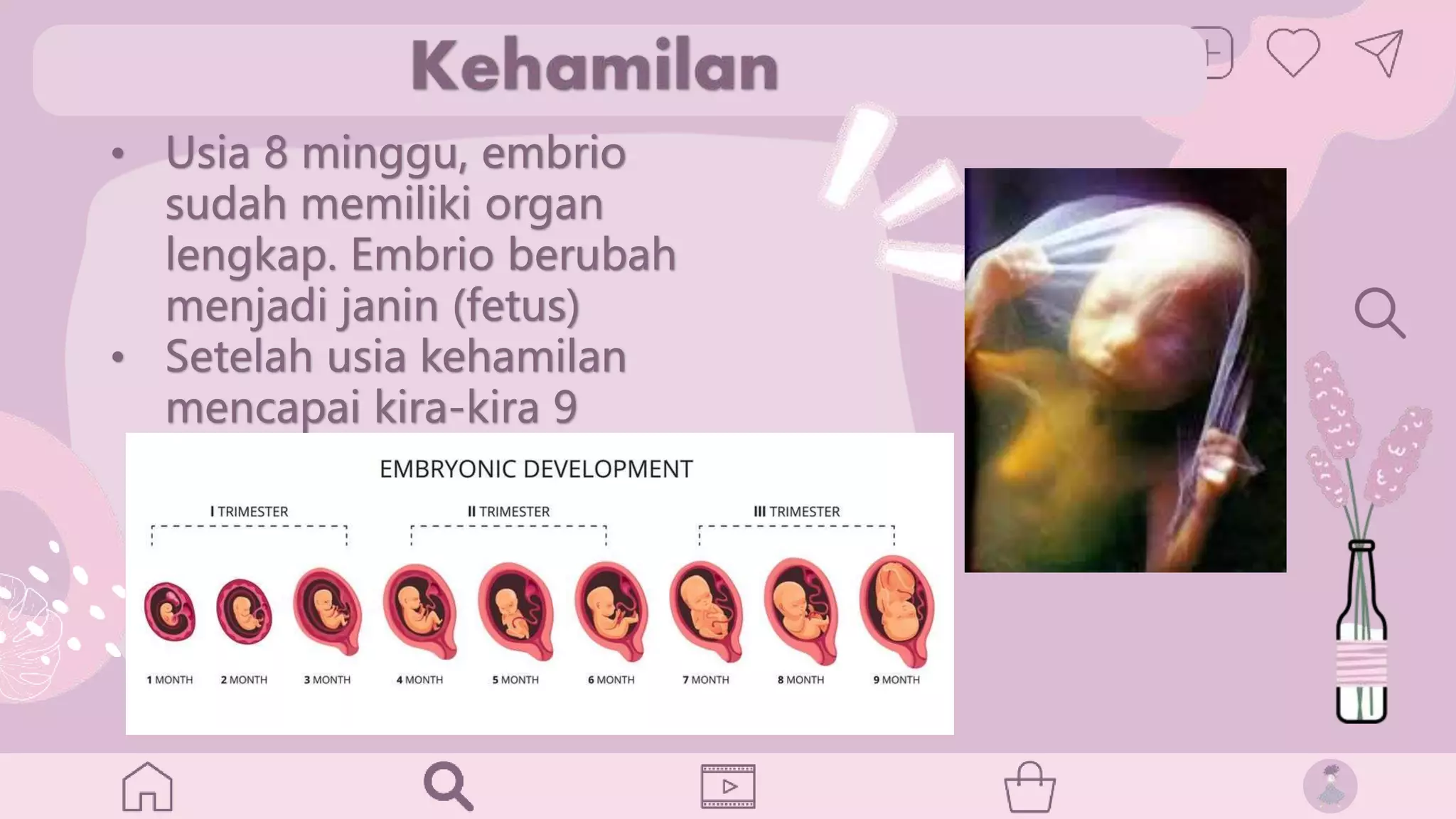 PPT BIO MIPA 4 KEL. 6.pptx