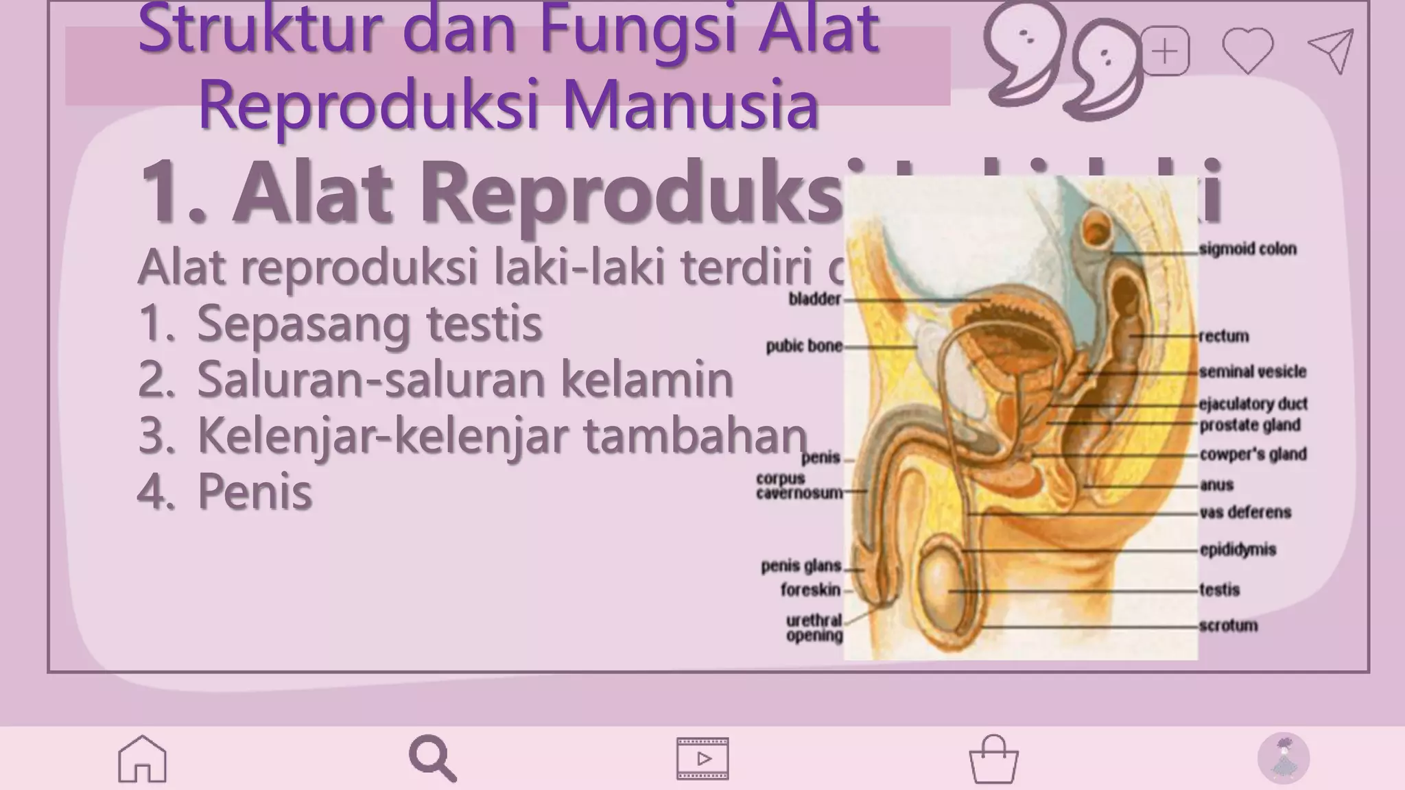 PPT BIO MIPA 4 KEL. 6.pptx