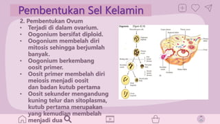 PPT BIO MIPA 4 KEL. 6.pptx