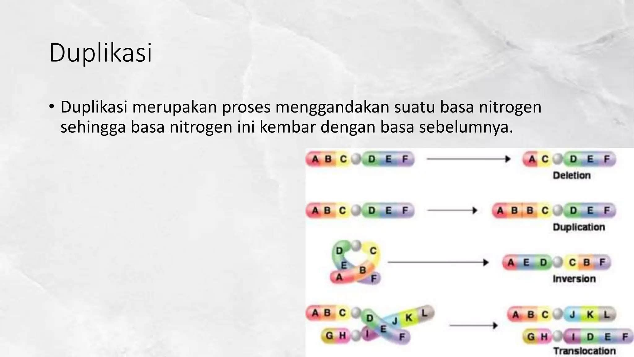 MUTASI GEN BIOLOGI KELAS 12 | PPTX
