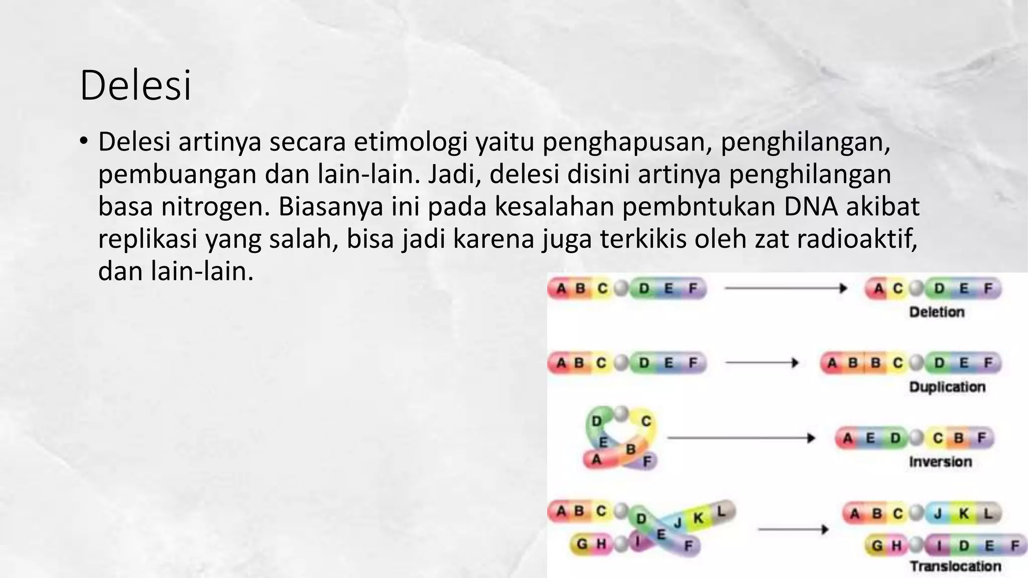 MUTASI GEN BIOLOGI KELAS 12 | PPTX