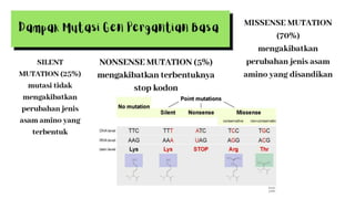 MUTASI GEN BIOLOGI KELAS 12 | PPTX