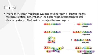 MUTASI GEN BIOLOGI KELAS 12 | PPTX