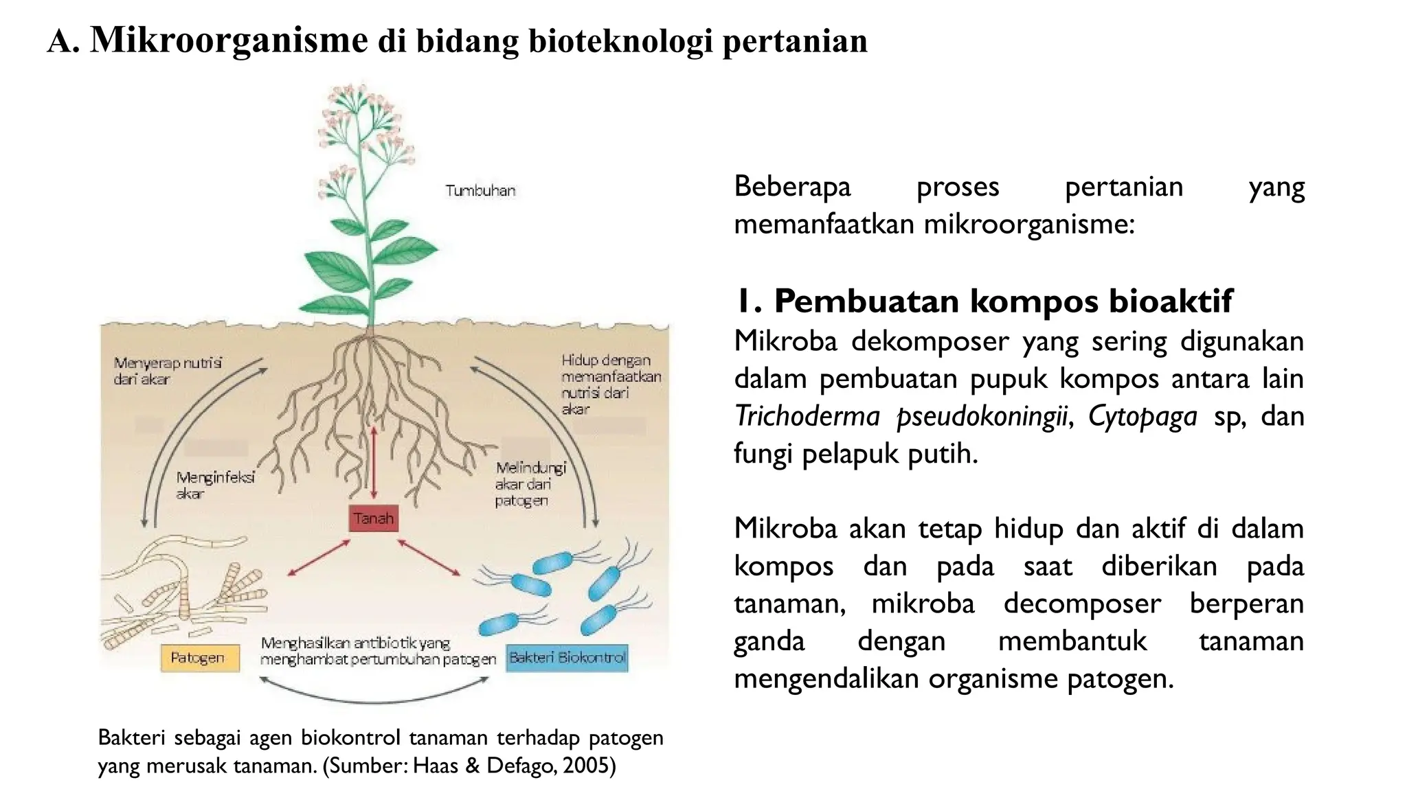 PPT Bioproses_Helvi Maudy Saswita., M.Si.pptx
