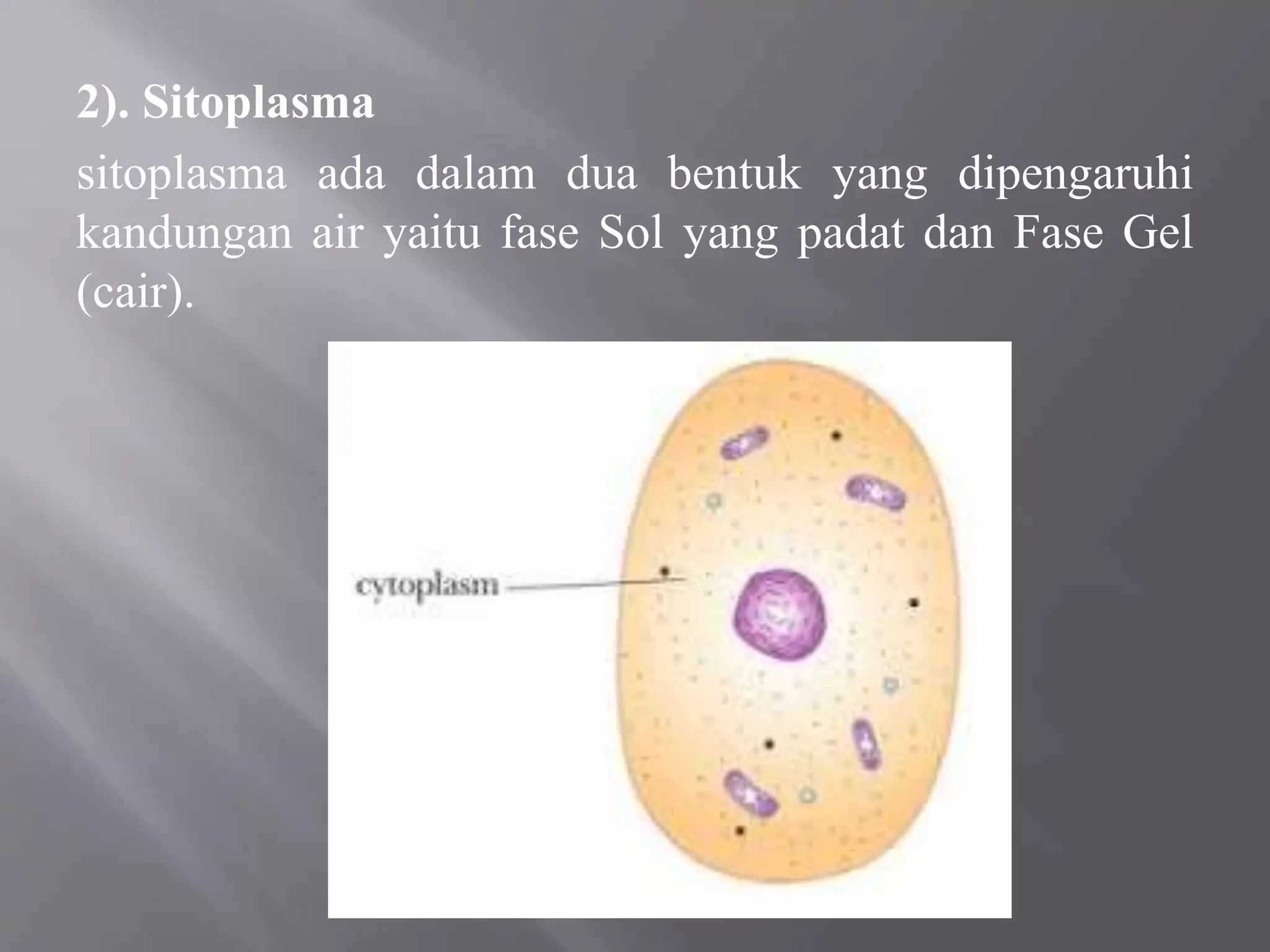Komponen Penyusun Sel [Biologi] | PPTX