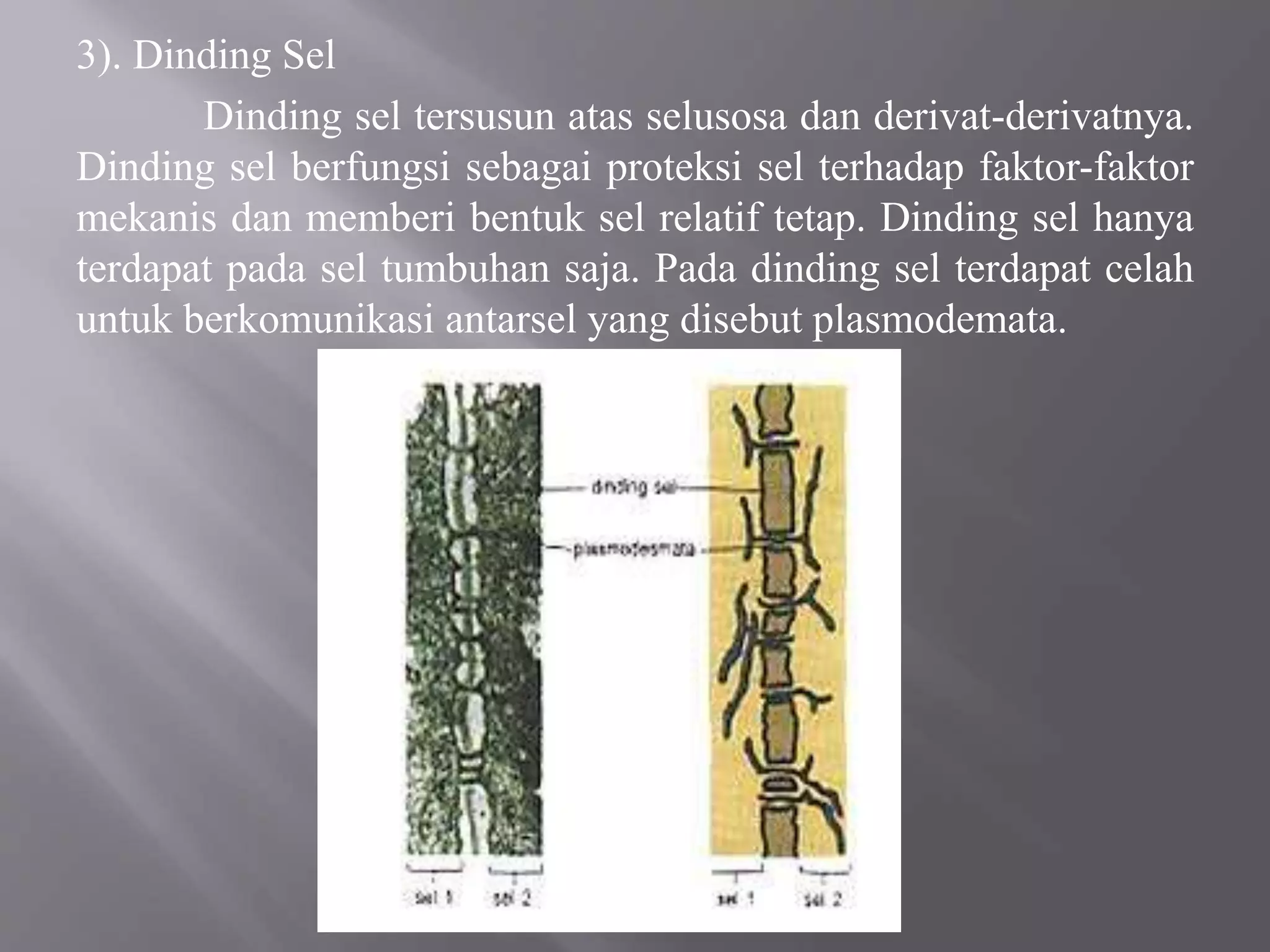 Komponen Penyusun Sel [Biologi] | PPTX