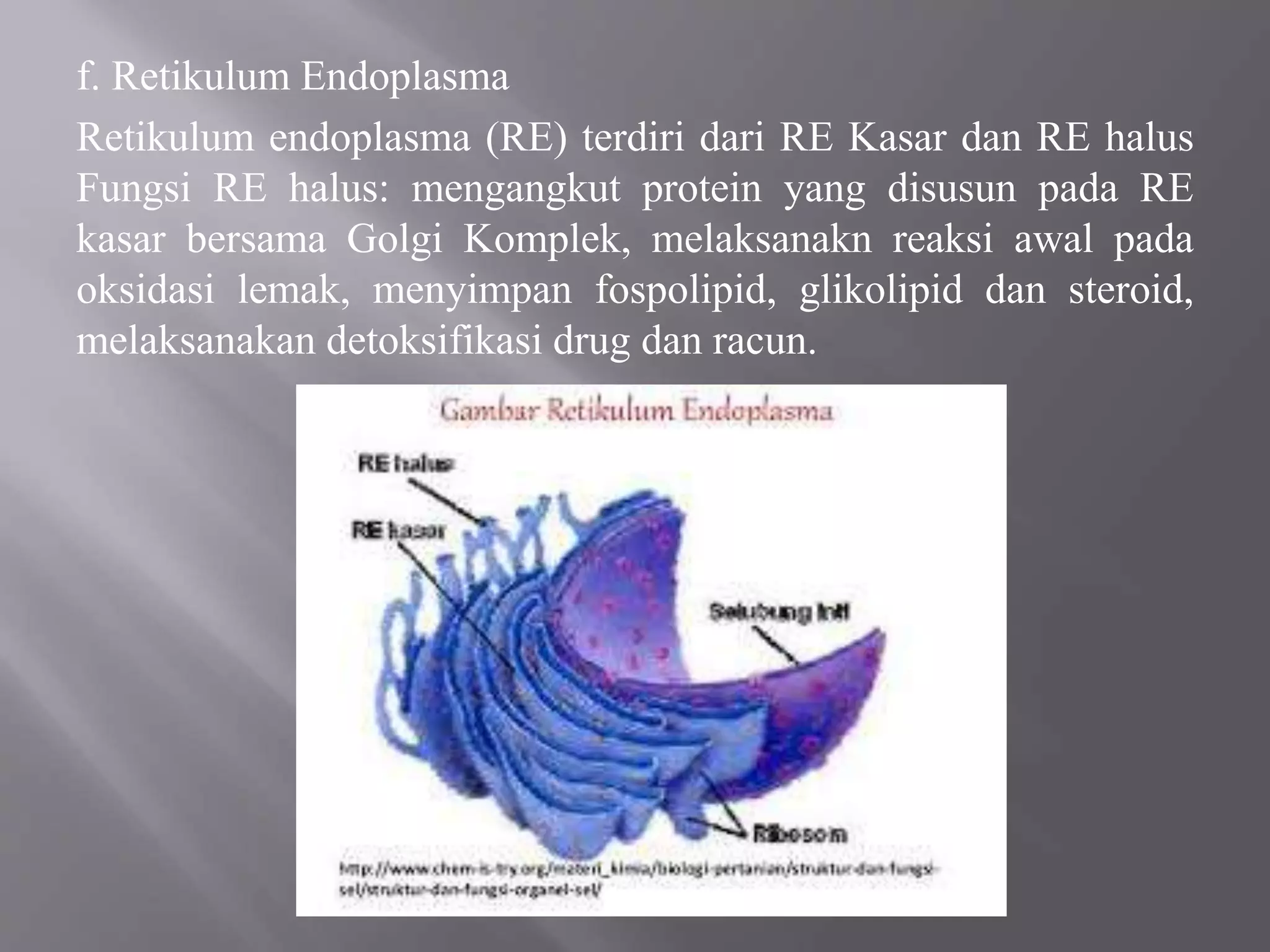 Komponen Penyusun Sel [Biologi] | PPTX