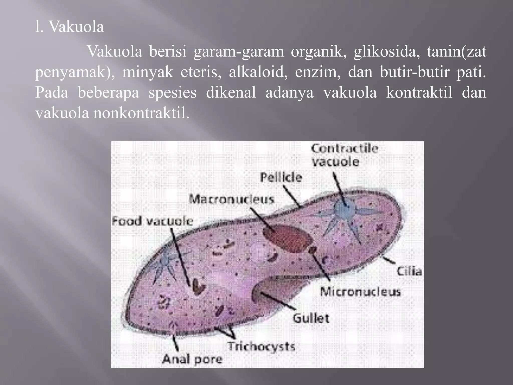 Komponen Penyusun Sel [Biologi] | PPTX