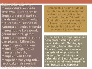Biologi - Sekresi | PPTX