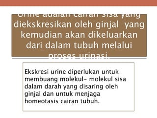 Biologi - Sekresi | PPTX